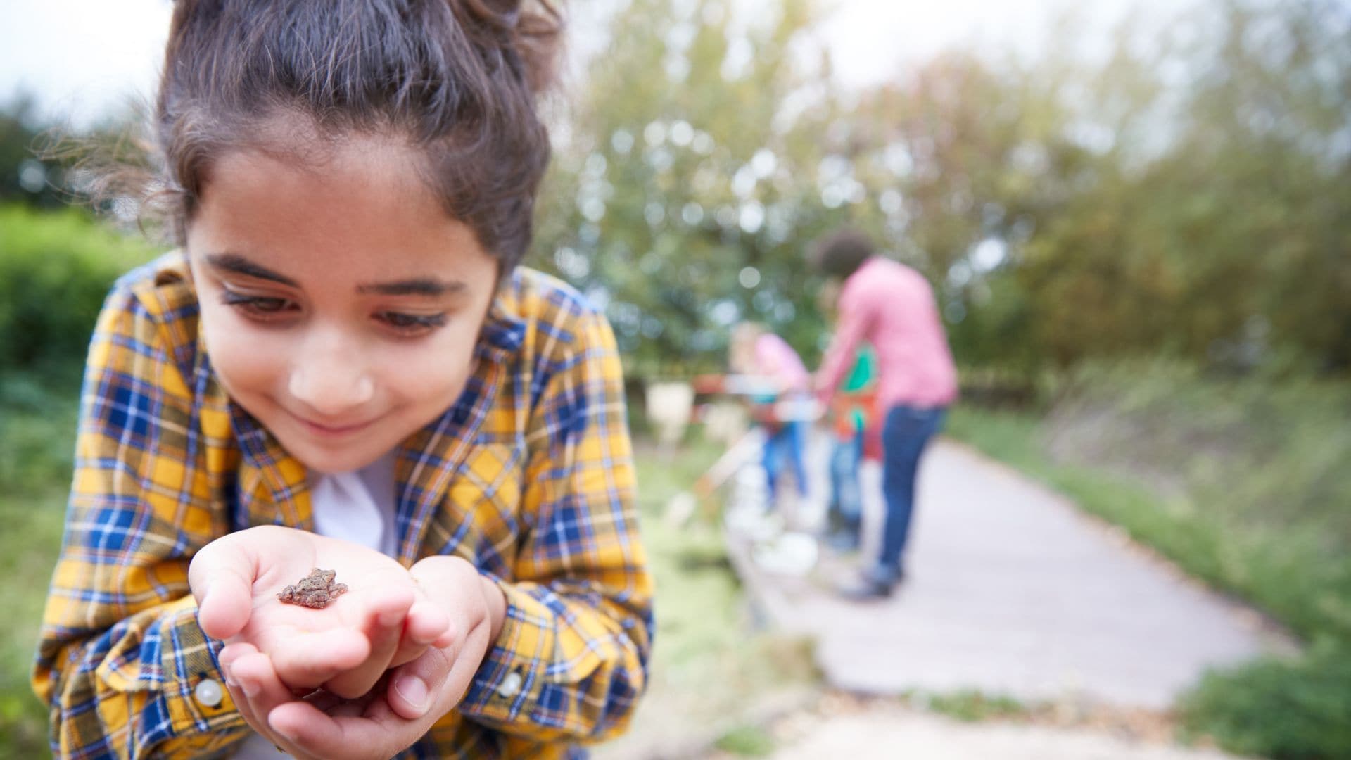 Homeschooling Kindergarten - Homeschool Connections